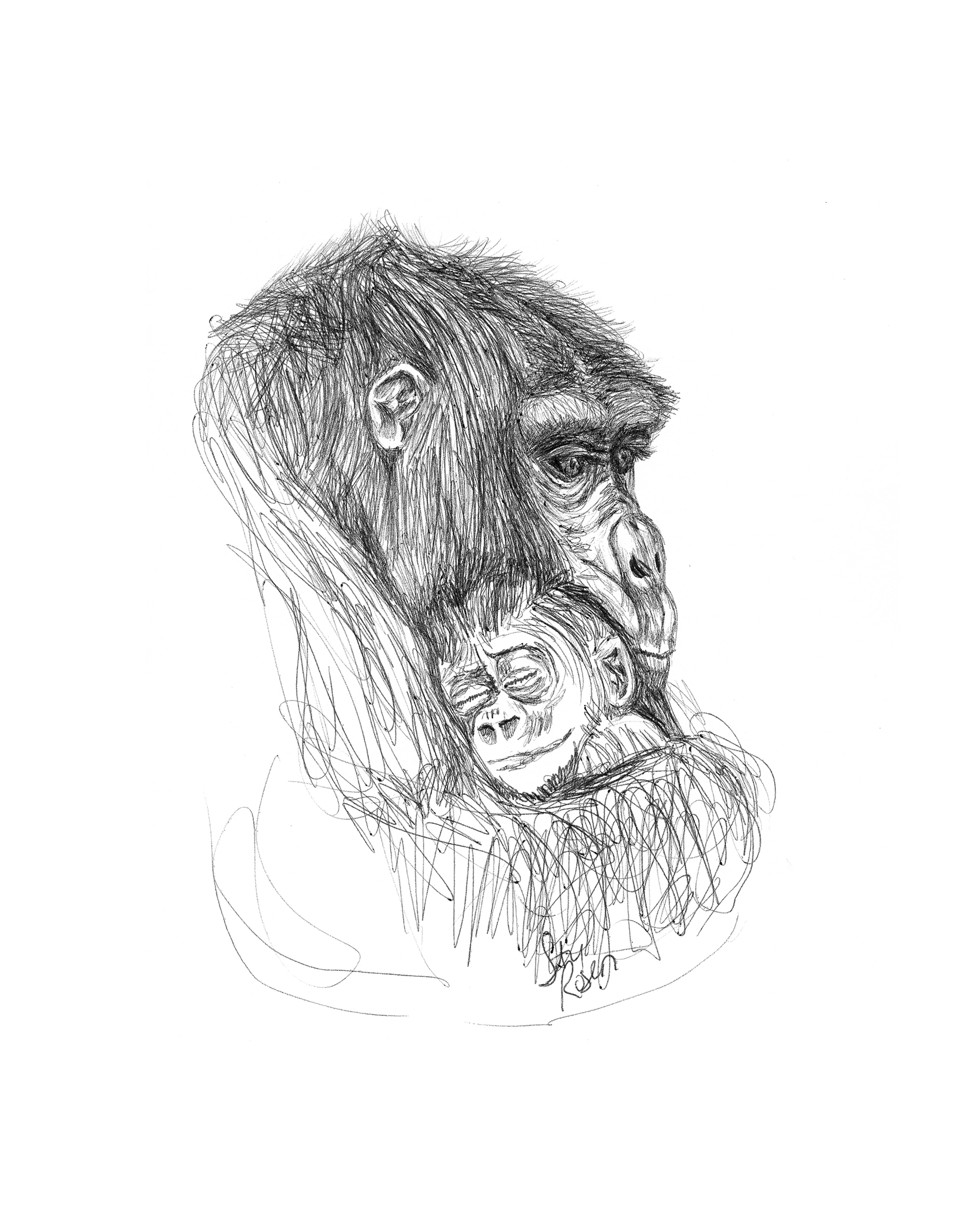 Art – Stuart Rosen